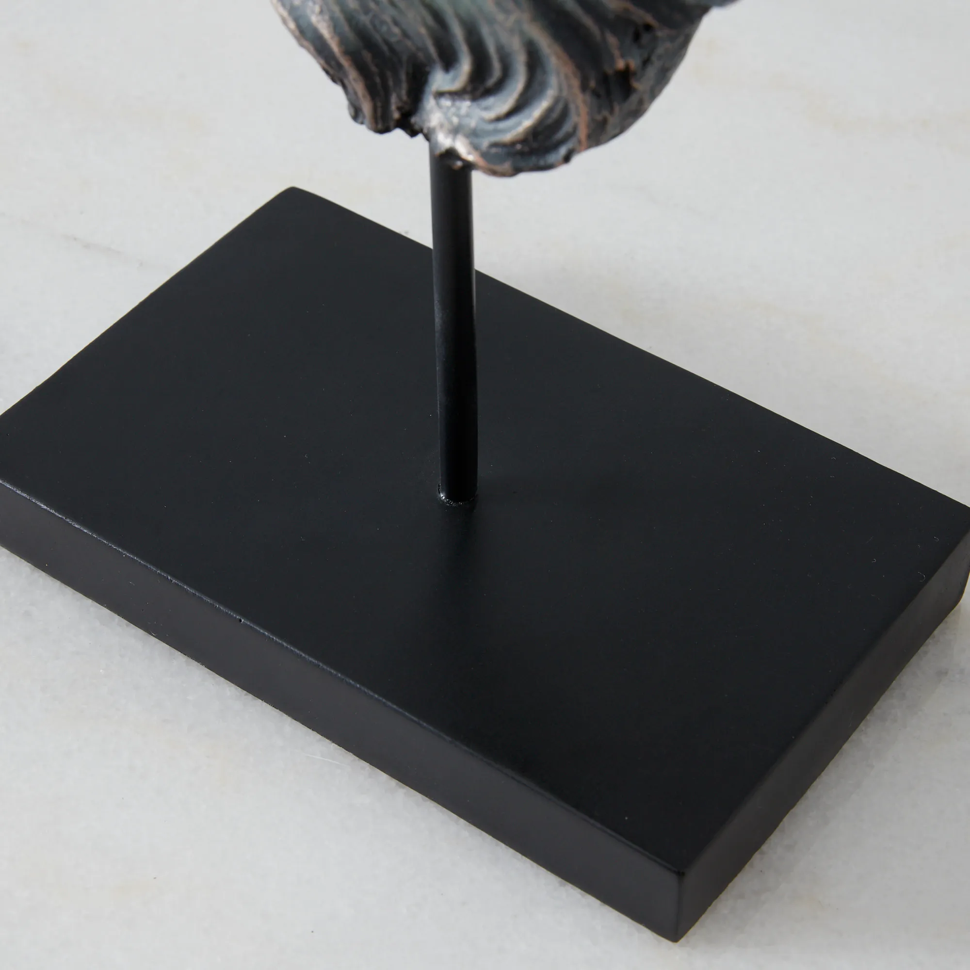 Pompeii Head on Stand - Stone Black