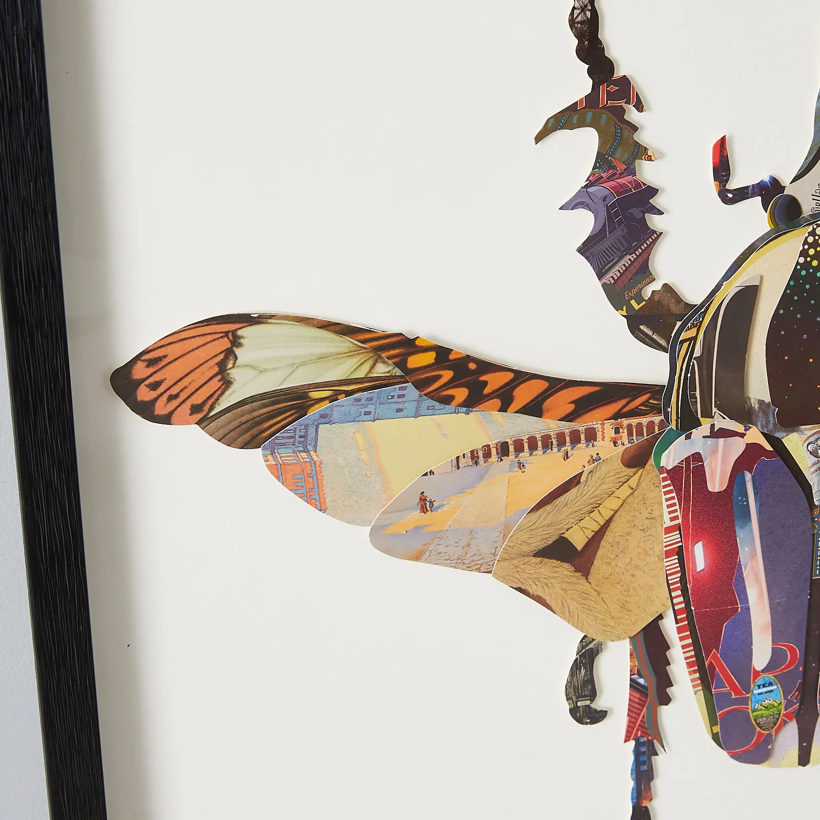 Rhino Beetle Framed Paper Collage | Koala Living