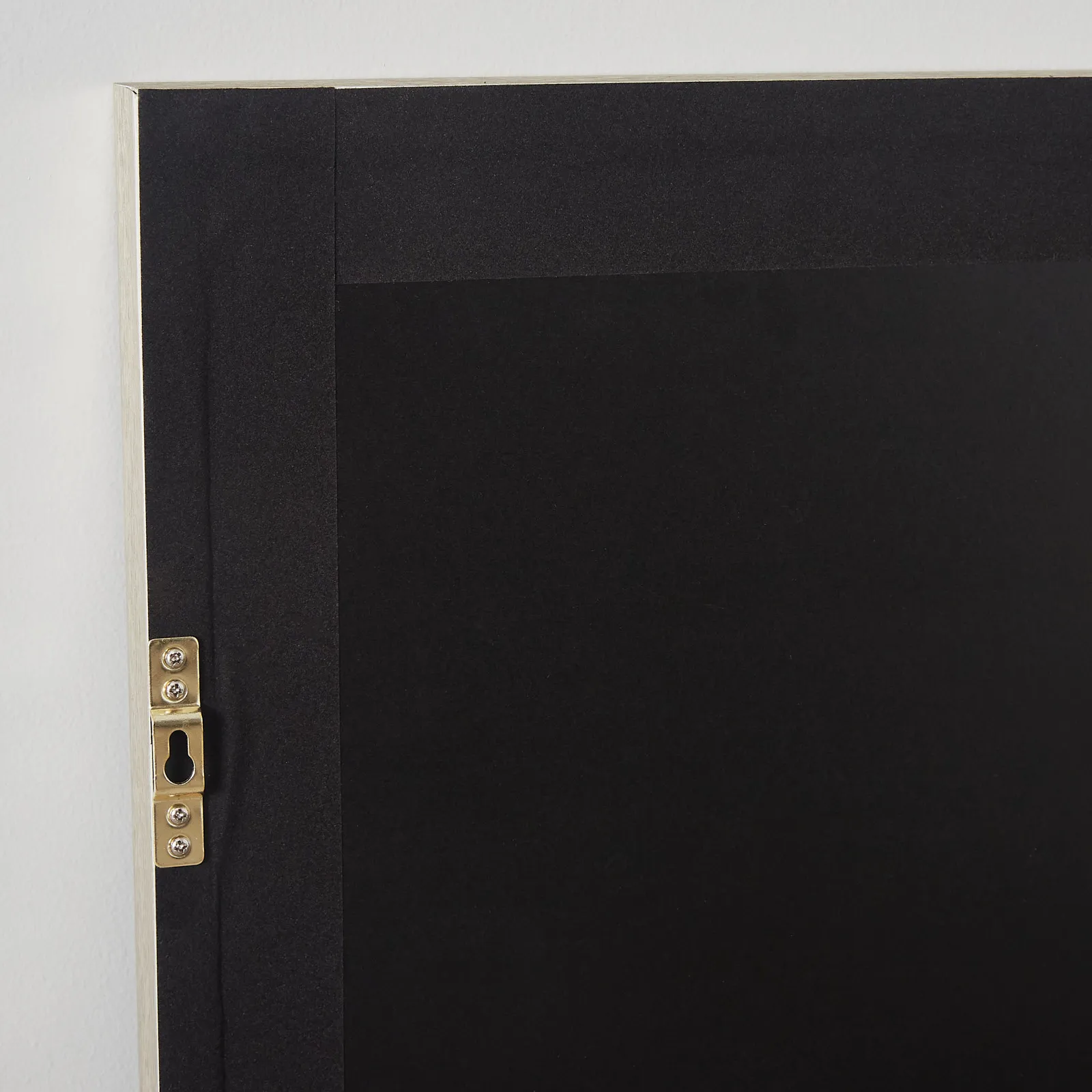 Cycas Silver Leaf Shadow Box