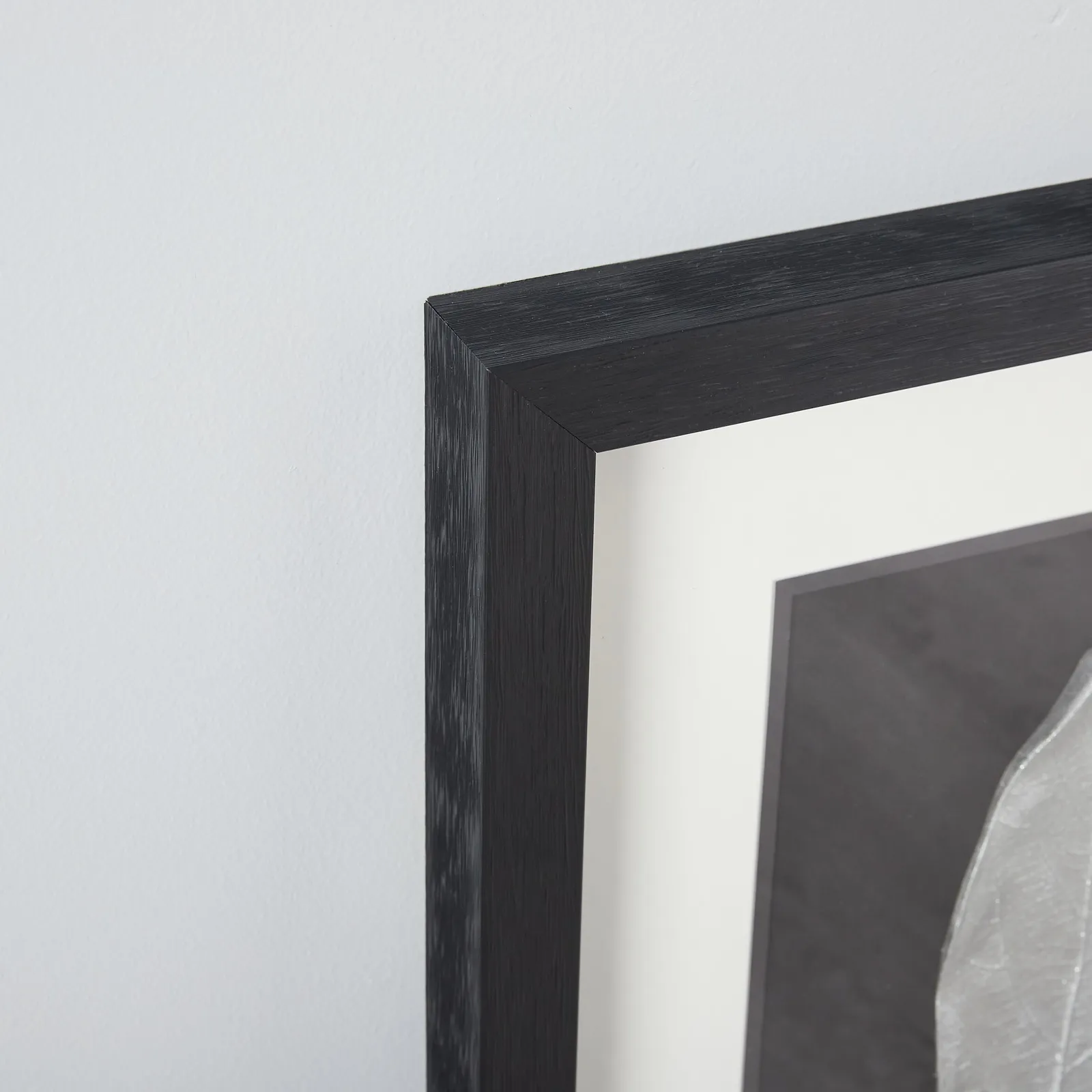 Sallow II Silver Leaf Shadow Box