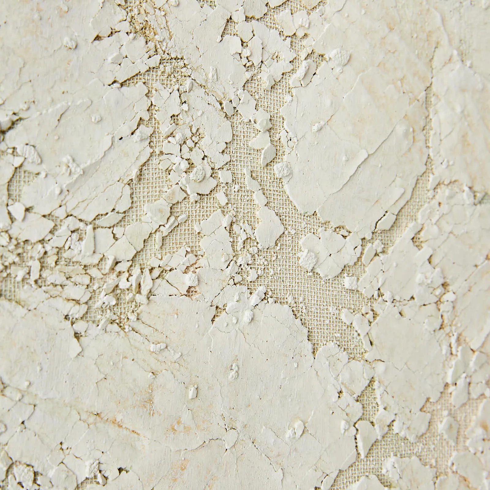 Ballad Painting | Koala Living