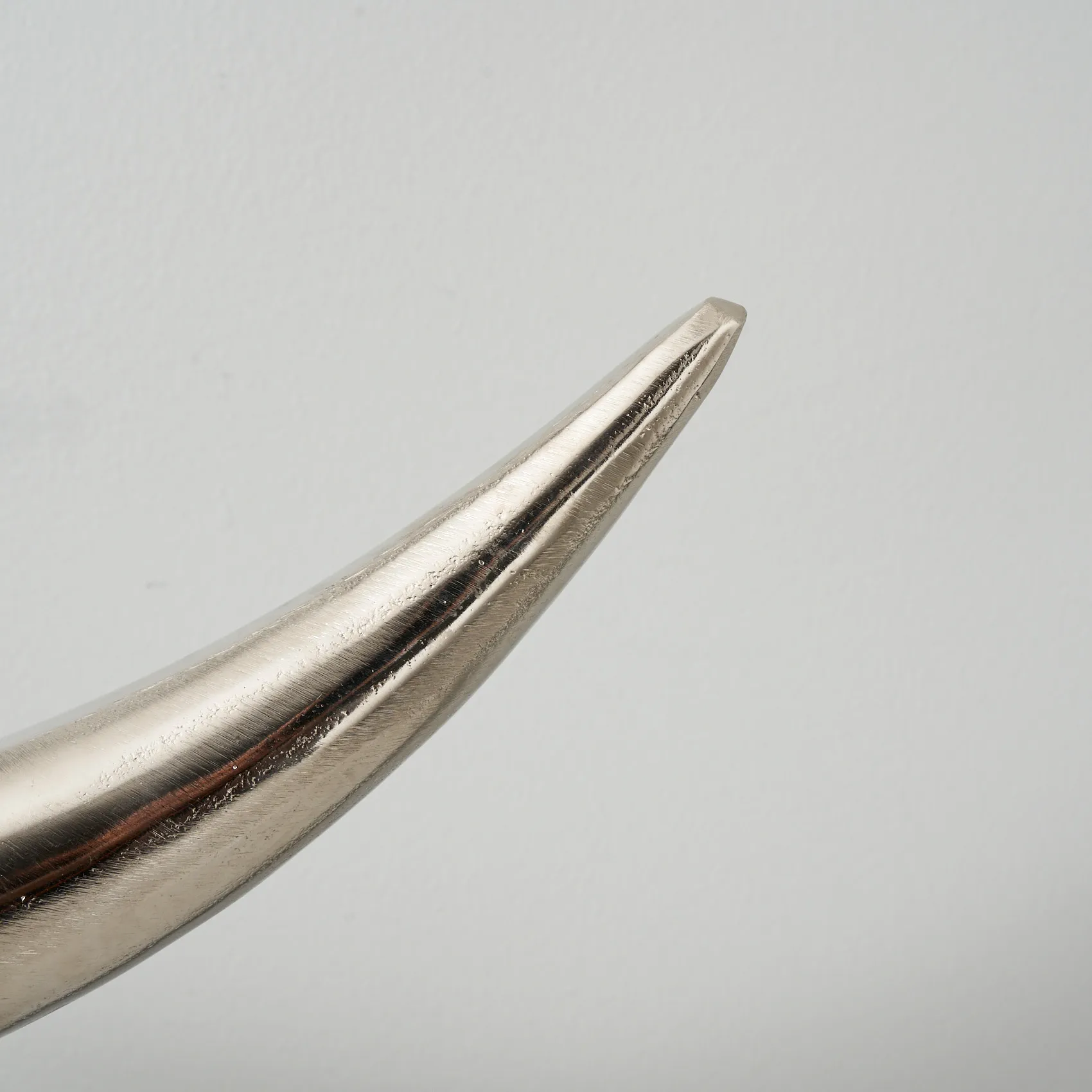 White Tusk Decorative