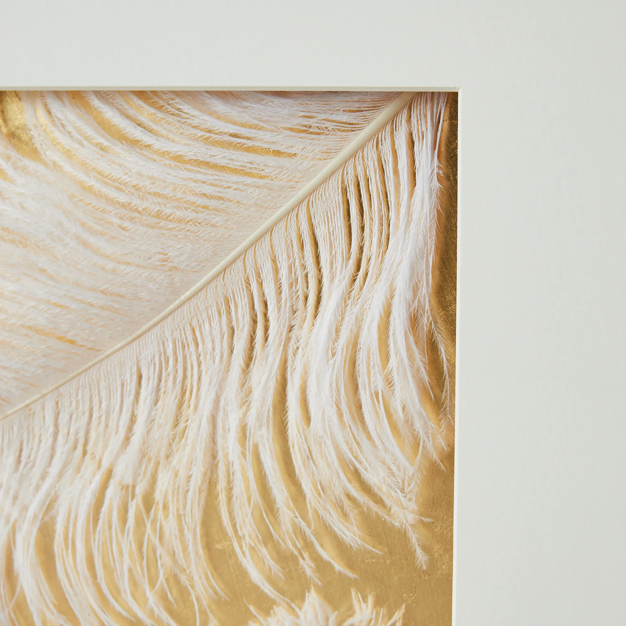 White Quills Shadow Box