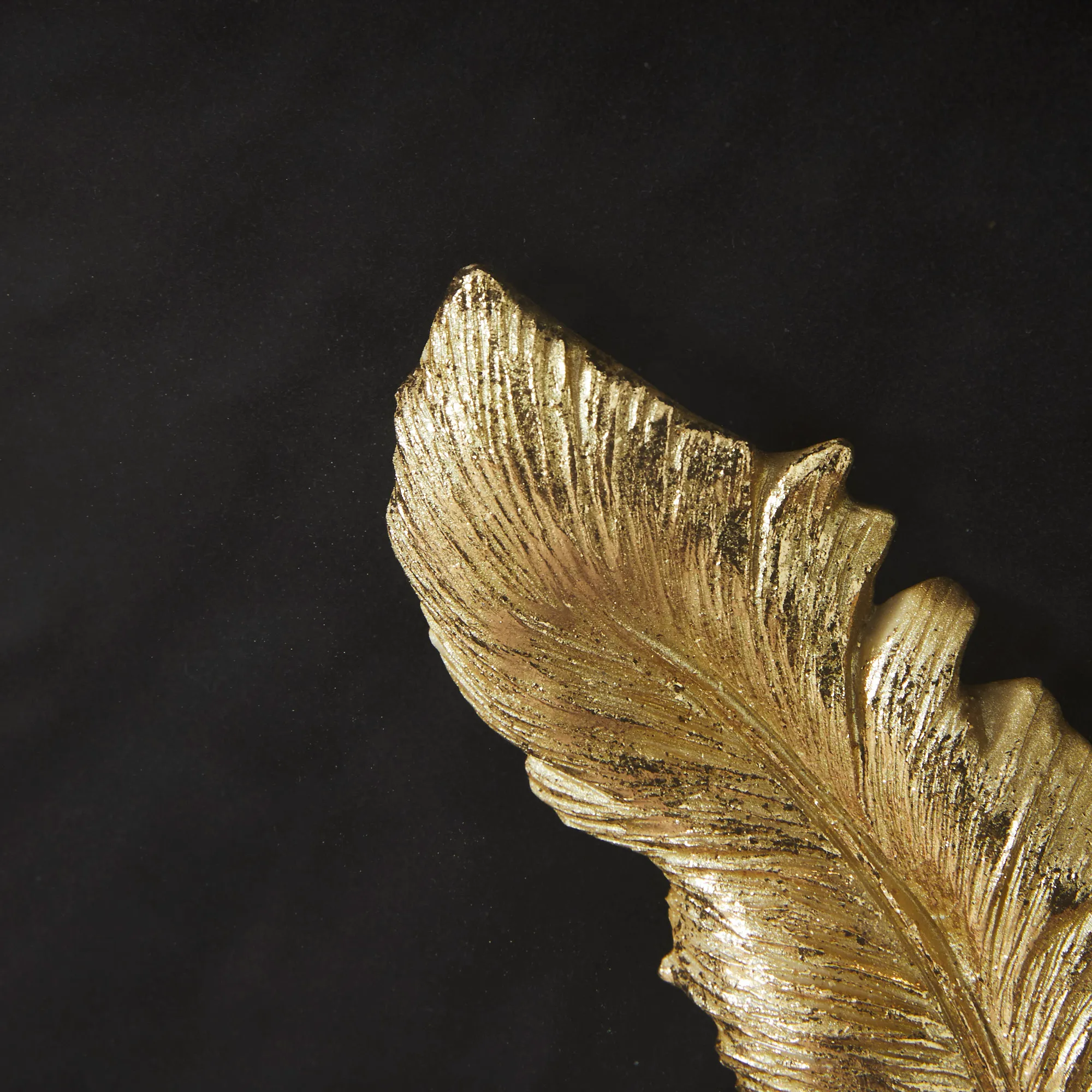 Golden Quills Shadow Box | Koala Living