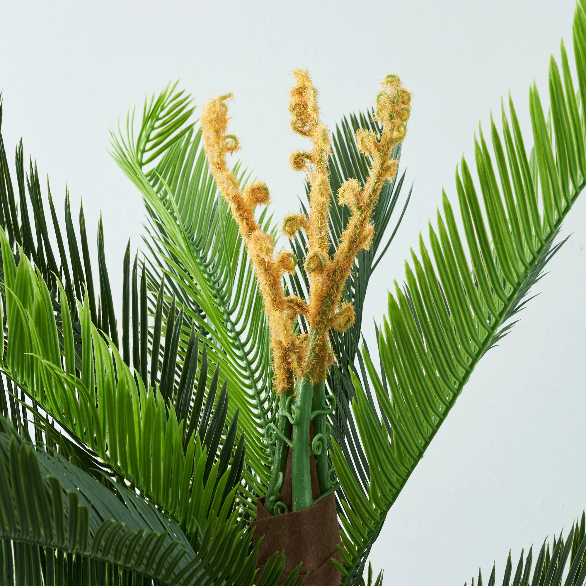 Cycas Decorative Plant 150cm | Koala Living