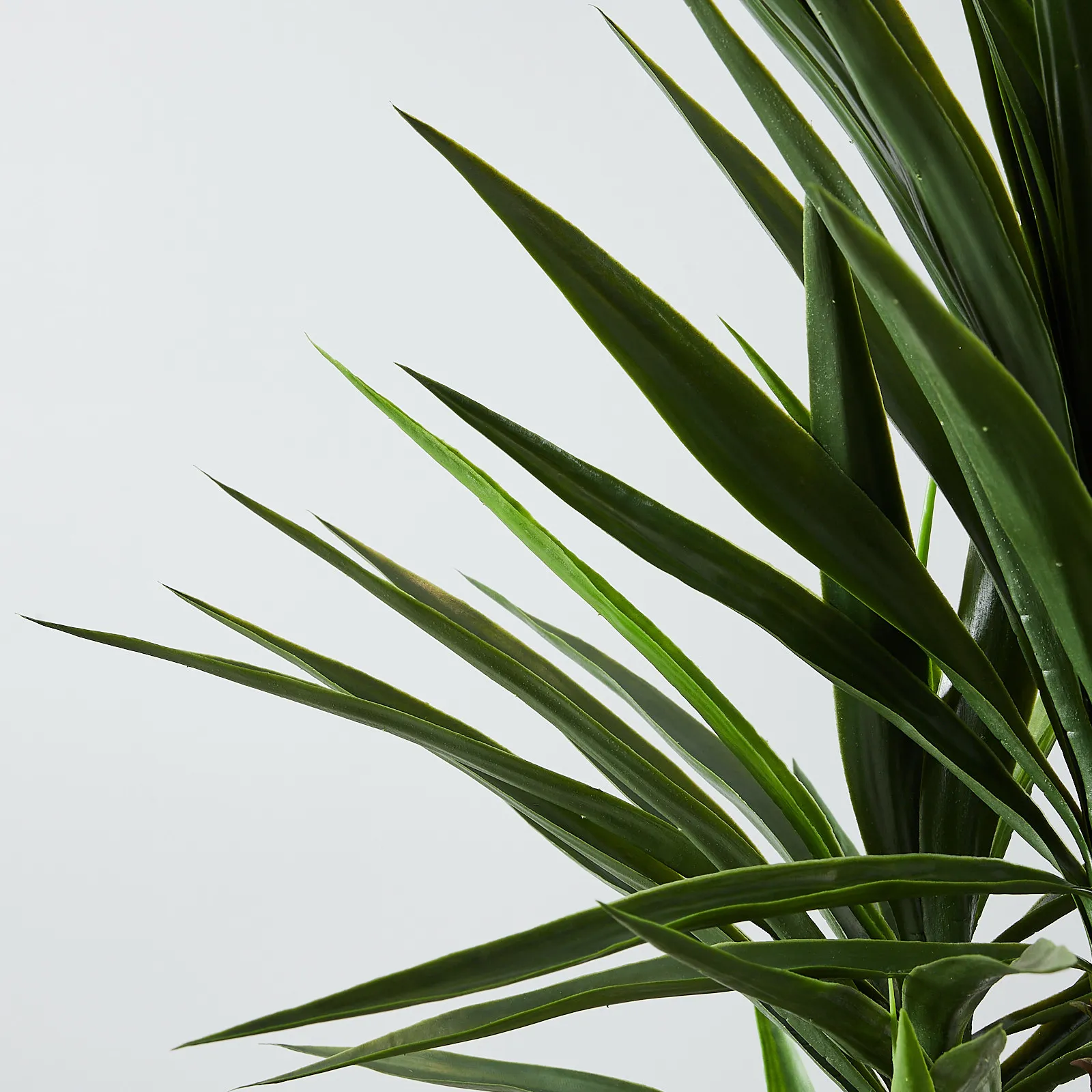 180cm Yucca Decorative Plant with Pot