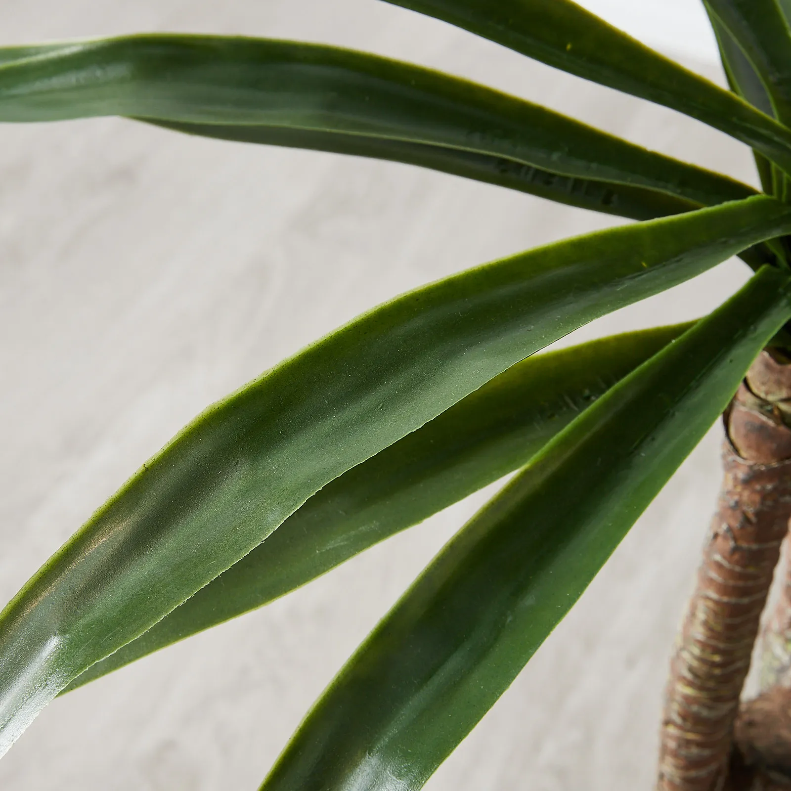 180cm Yucca Decorative Plant with Pot