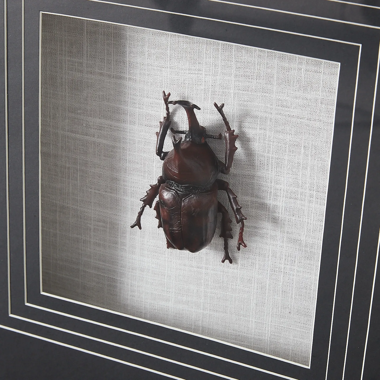 Lone Beetle Paper Shadow Box with Black Frame | Koala Living