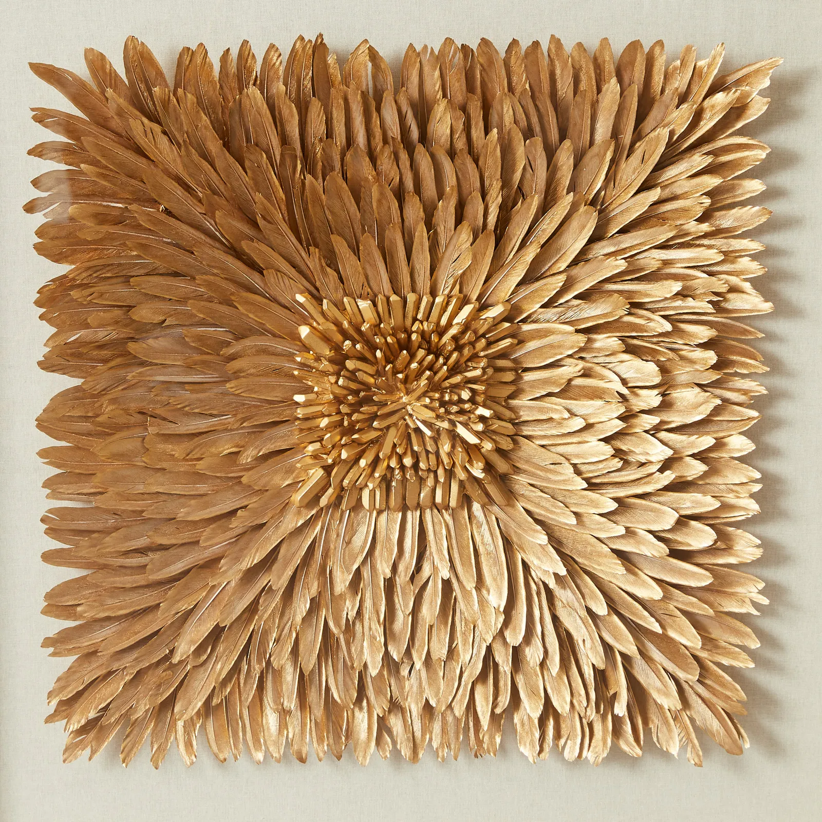 Feather Shadow Box with Golden Frame