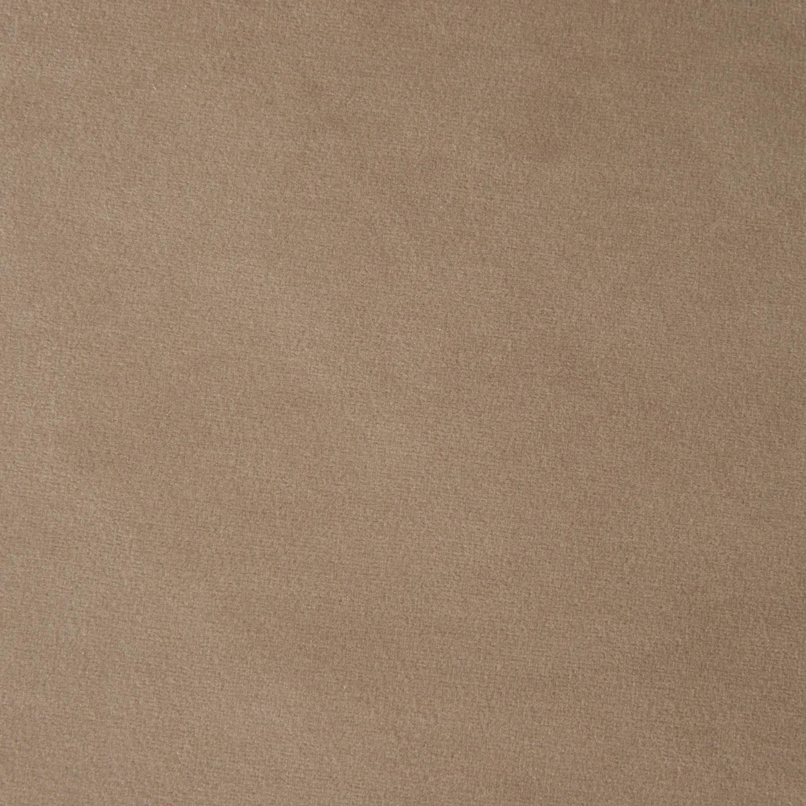 Everett Light Beige Velvet 2 Seater Sofa - Dark Brown Legs