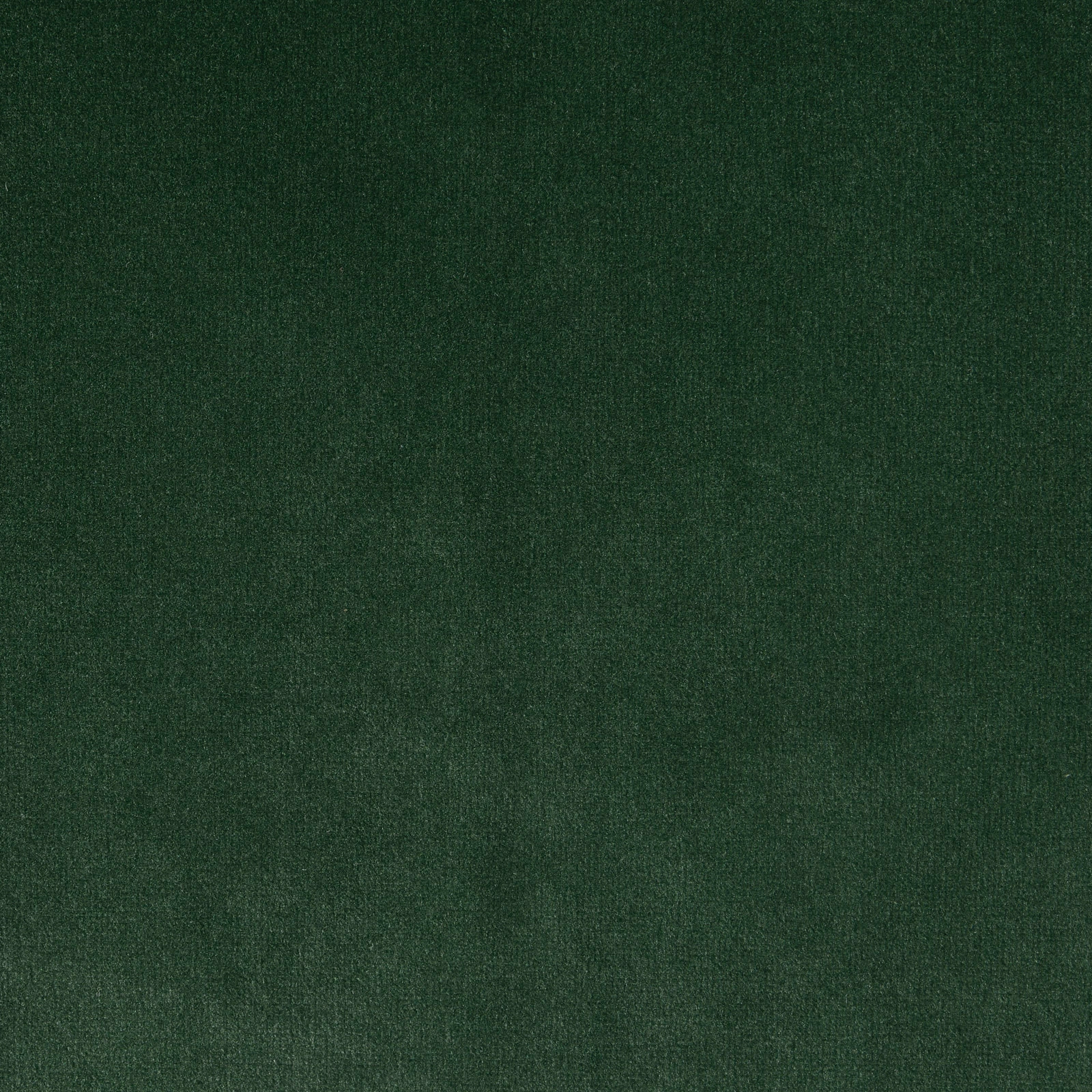 Crown Pine Green Velvet 3-Seater Sofa - Champagne Gold Stainless Steel Legs